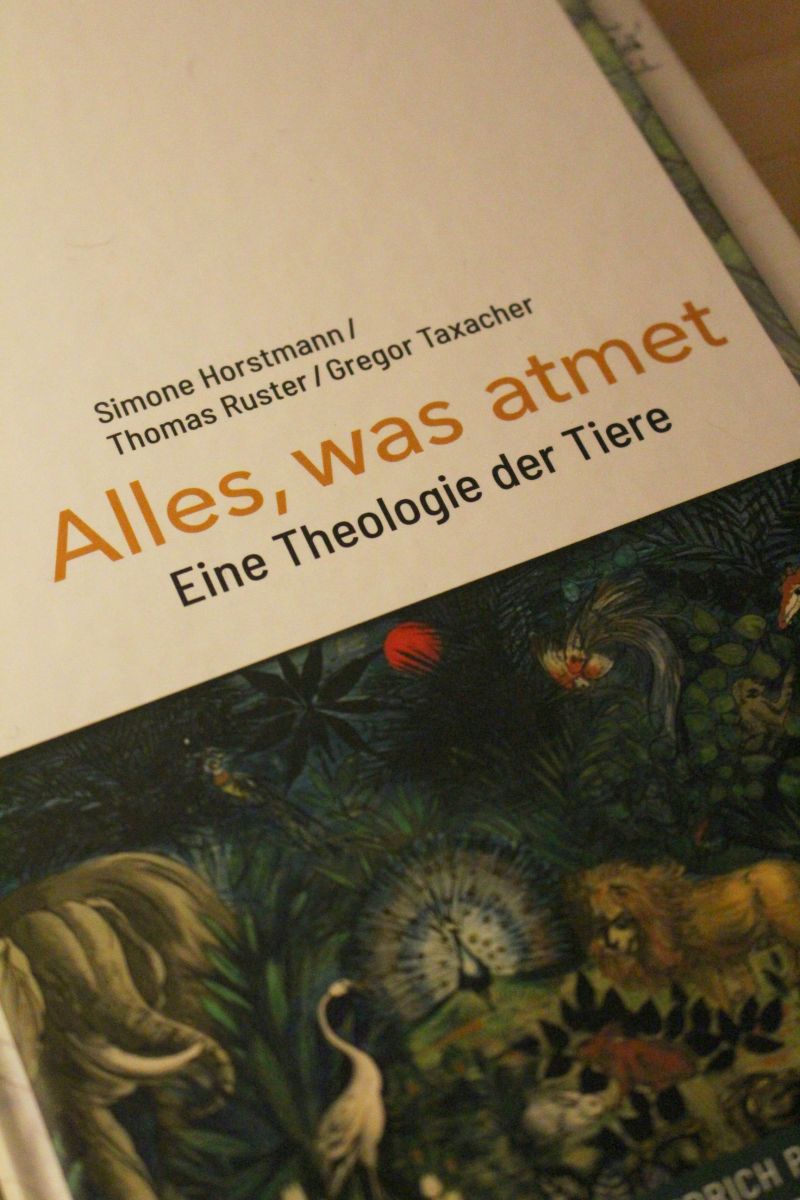 Alles, was atmet. Unsere Theologie der Tiere – Evergreenstories.de